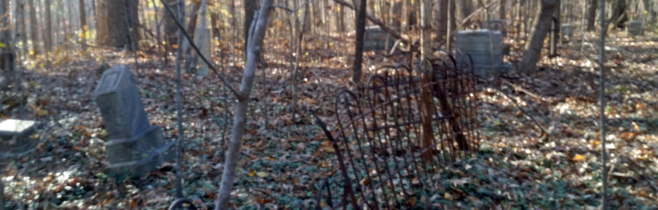 Jones Cemetery at New Store | slate river ramblings