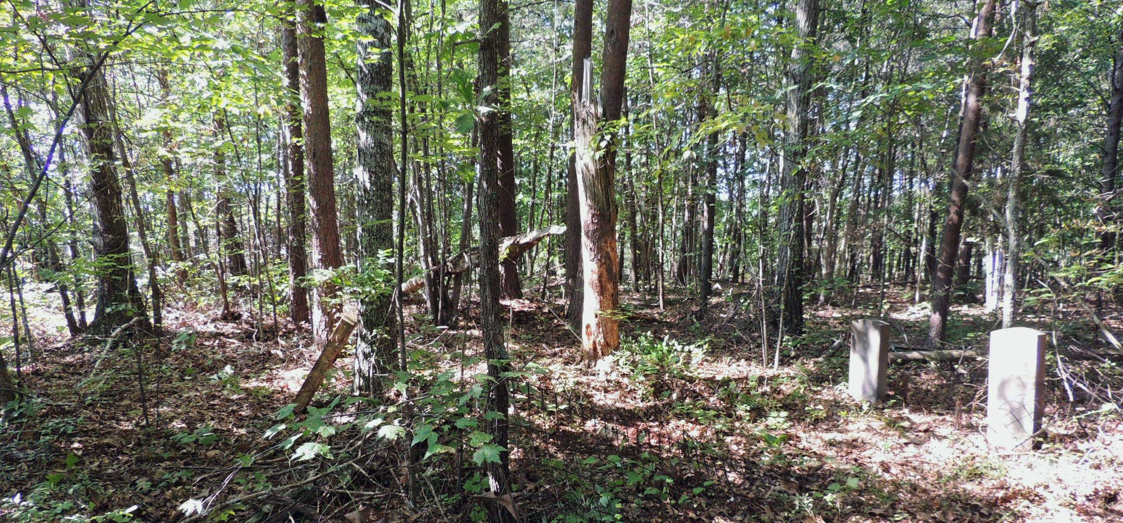Buckingham County: Norvell Family Cemetery | slate river ramblings